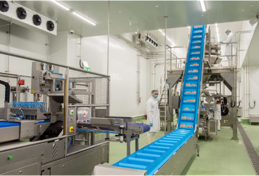 Food Processing & Cold Storage - KAMUI Group